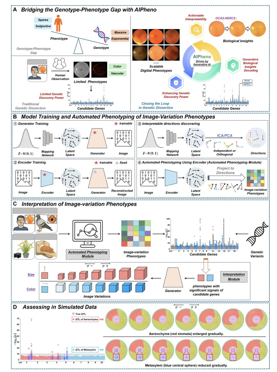 CanBART: Using a Language Model to Generate Synthetic Cancer Patient ...