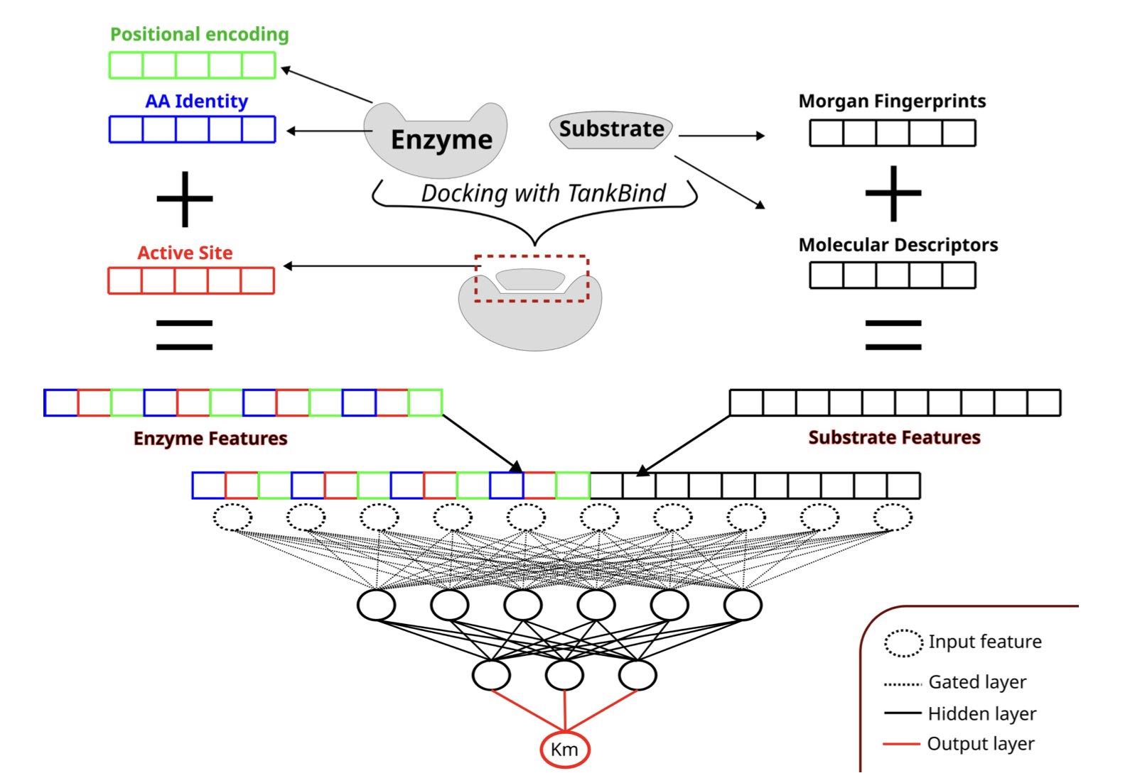 AI Agents Design Drugs for IDPs, Tackling ‘Undruggable’ Targets – MPU